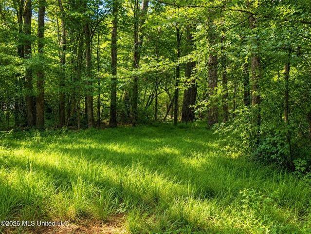 0 Belle Gardner Rd, Amite, LA 70422 | MLS #2567