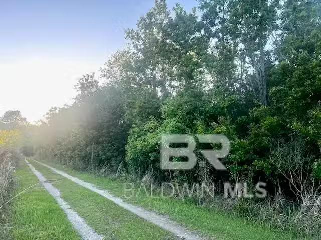 0 BELLINGRATH ROAD, THEODORE, AL 36582