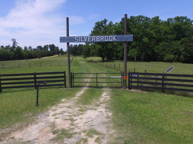 0 Ben Grady Collins Road LOT 1