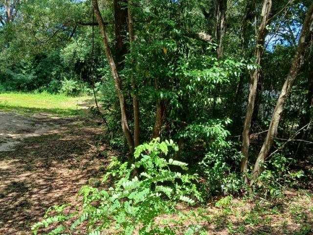 0 Benjamin St, Crestview, FL 32536 | MLS #985872 | Compass