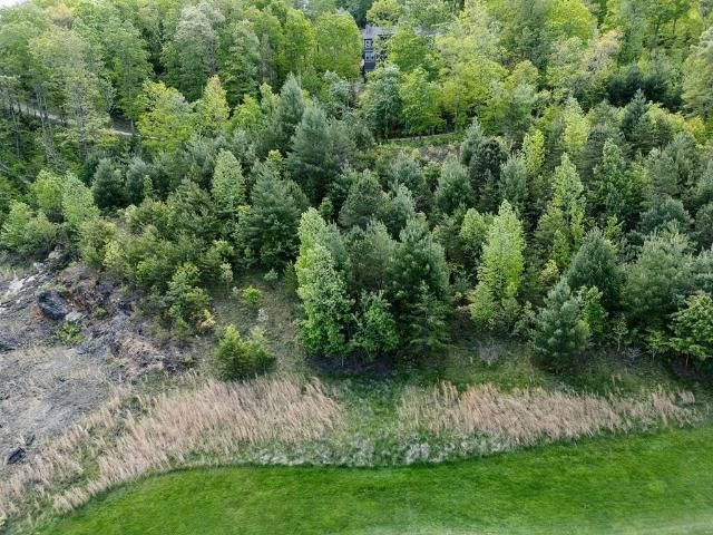 0 Bent Grass Way, Clayton, GA 30525 | MLS #7796
