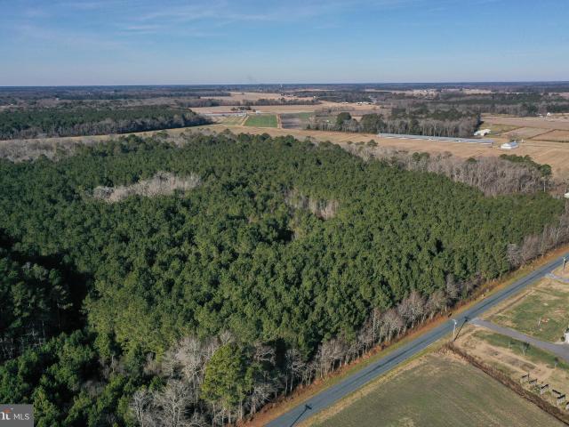 0 Bent Pine Rd, Willards, MD 21874 | MLS #MDWC2020