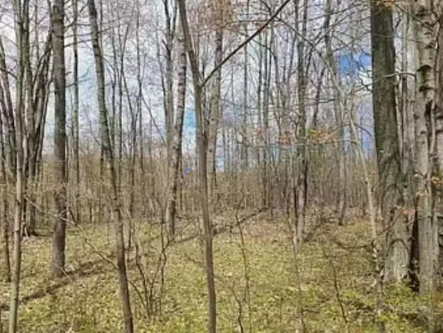 0 BERN DRIVE # 502, REED CITY, MI 49677 Vacant Land For Sale.