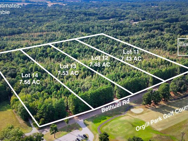 0 Bethuel Rd, Unit LOT 13, Millington, TN 38053 | MLS #10208 | Compass