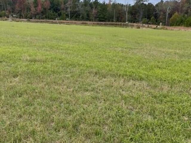 0 Bethel Baptist Rd, Spring Lake, NC 28390 | MLS #10061
