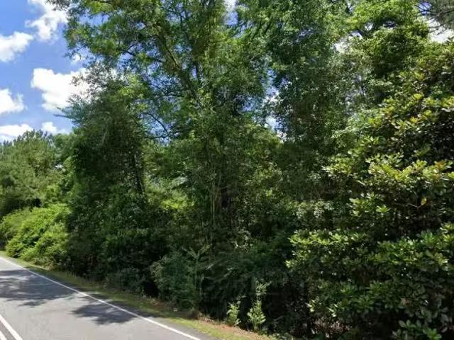 0 BEVERLY JEFFRIES HWY # LOT 17, CITRONELLE, AL 36522