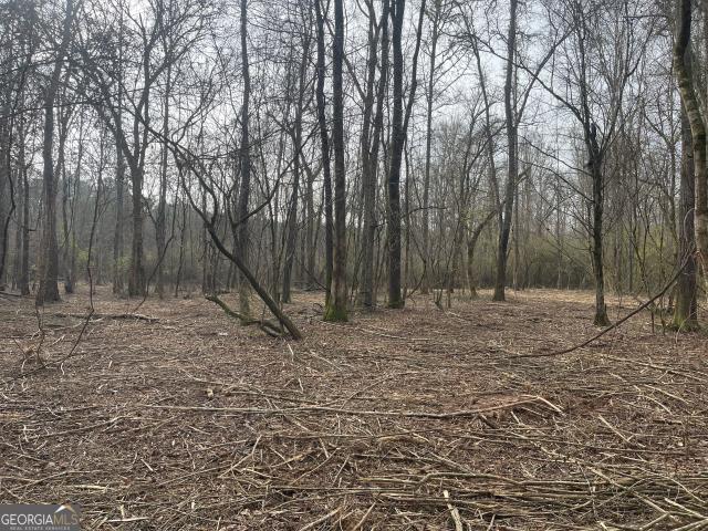 0 Bevis Rd Parcel 1, Franklin, GA 30217 | MLS #10669