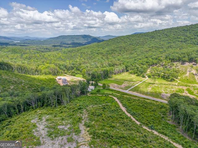 0 Big Texas Valley Rd NW, Rome, GA 30165 | MLS #10681