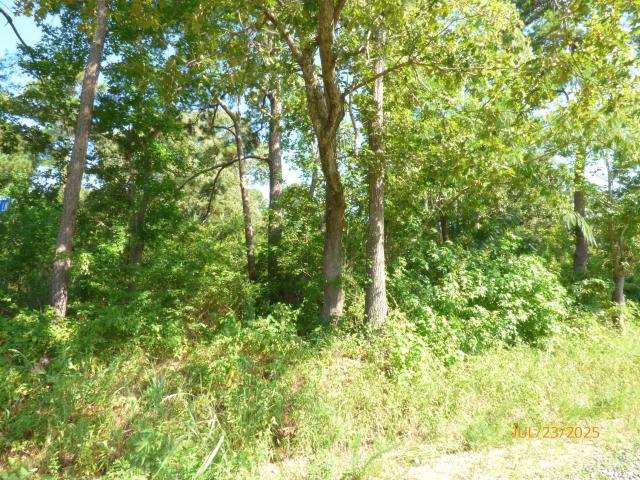 0 Big Woods Rd, Pineville, SC 29468 | MLS #25020
