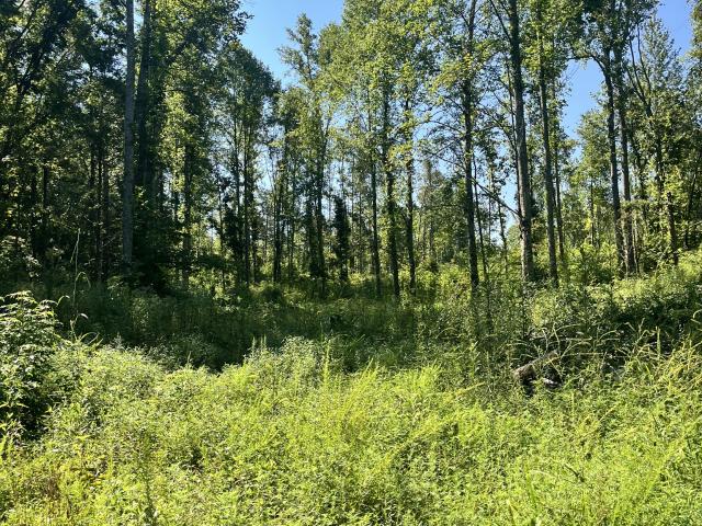 0 Big Sink Rd, McMinnville, TN 37110 | MLS #2976 | Compass