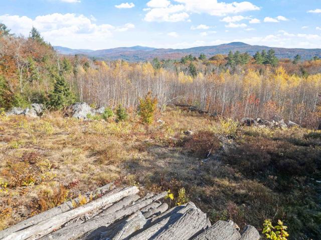 0 Binks Hill Rd, Plymouth, NH 03264 | MLS #5068