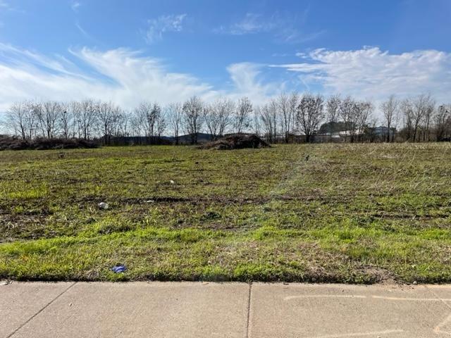 0 Bissonnet St, Houston, TX 77099 | MLS #5006