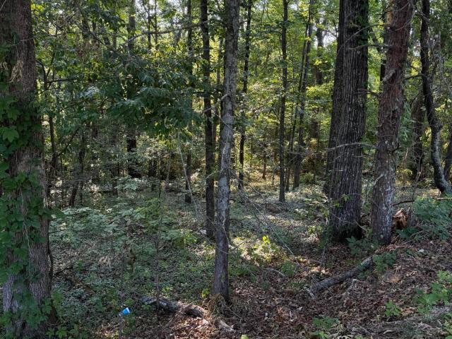 0 Birchwood Pike