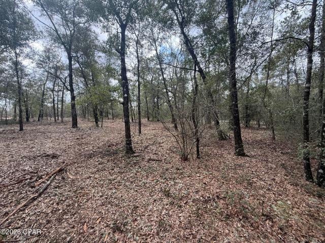 0 Birwood Ct, Chipley, FL 32428 | MLS #784562