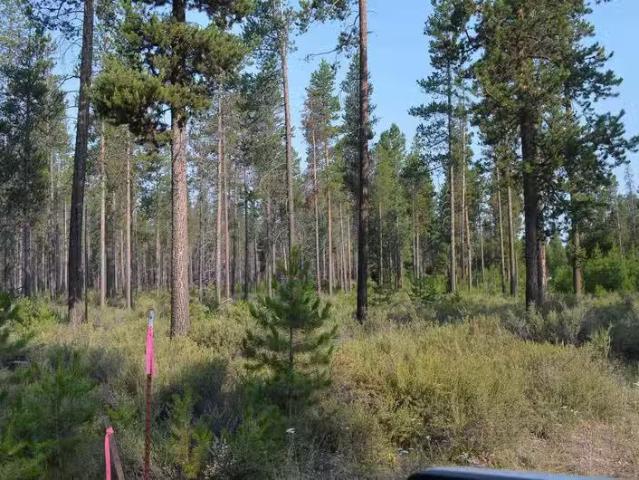 0 Bitterbrush Lane, Crescent, OR 97733 644472139