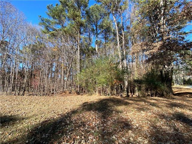 0 Black Oak Trail, Woodstock, GA 30189 | MLS #7303
