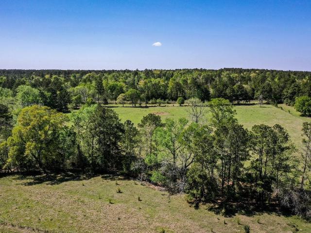 0 Black Jack Cemetery Rd, Huntsville, TX 77340 | MLS #60600