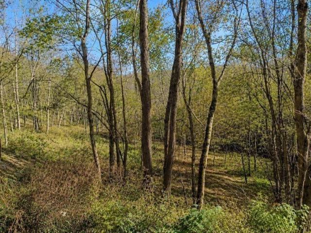 0 Blackberry Ridge Way