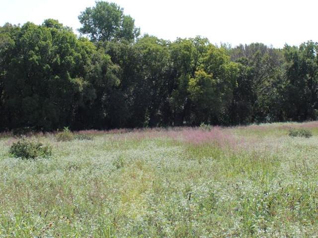 0 Blackjack Pkwy, Nocona, TX 76255 | MLS #21054