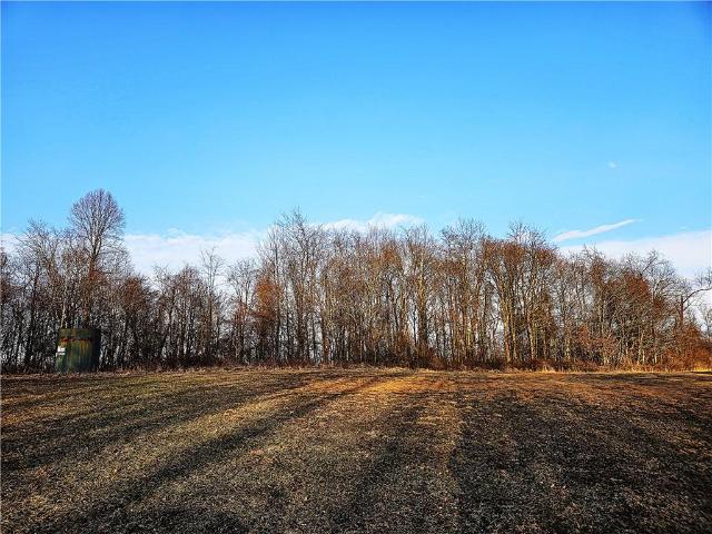 0 Blackleggs Rd, Shelocta, PA 15774 | MLS #1743