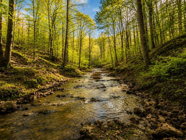 0 Blackstone Mountain Phase II Tract 72