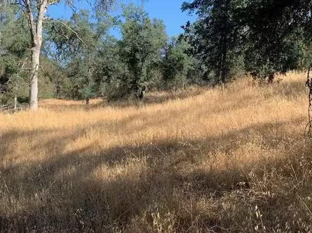 0 Blade Creek Rd, Mariposa, CA 95338 MLS MP23150380