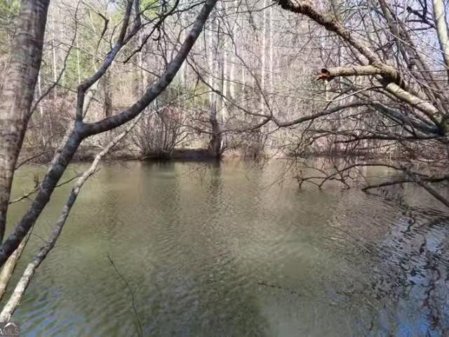 0 Blazing Star Rd, Ellijay, GA 30540 MLS 10493985