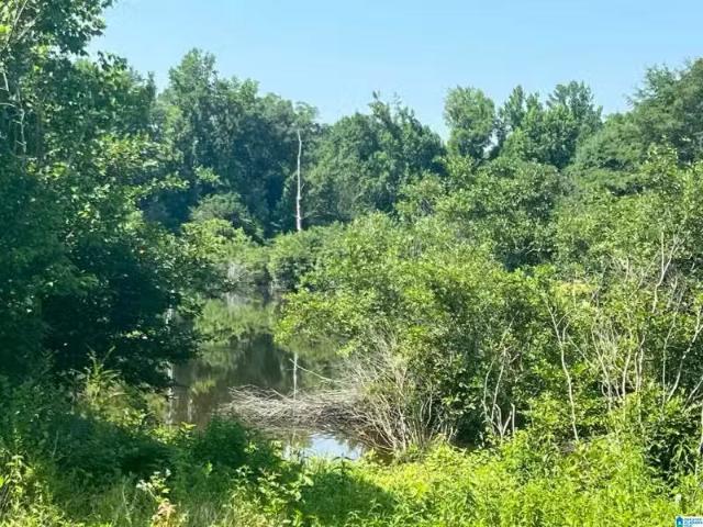 0 BLOSSOM DRIVE # 0, QUINTON, AL 35130 Vacant Land For Sale M.
