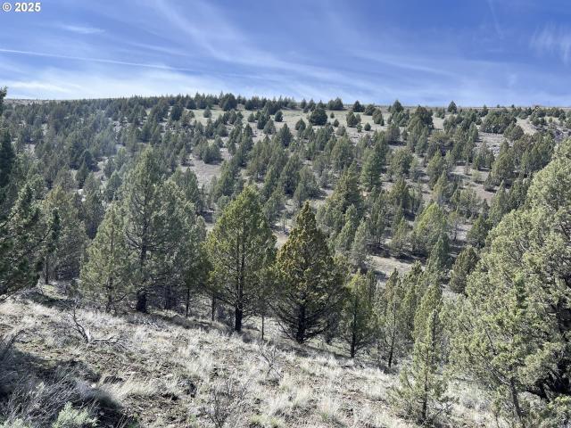 0 Blue Gulch RD