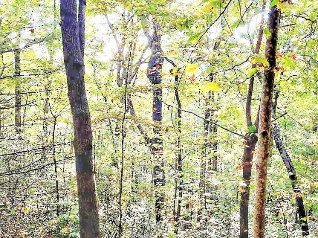 0 Blue Ridge Gap Road