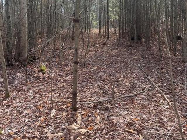 0 Blue Ridge Ln Lot 21, Monroe, VA 24574