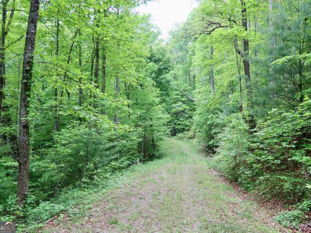 0 Bluff Mountain, Dillard, GA 30537 | MLS #10529 | Compass