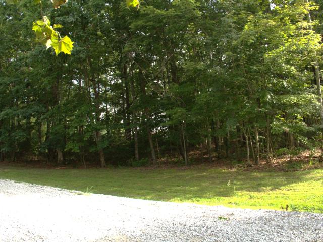 0 Bluff Line Dr