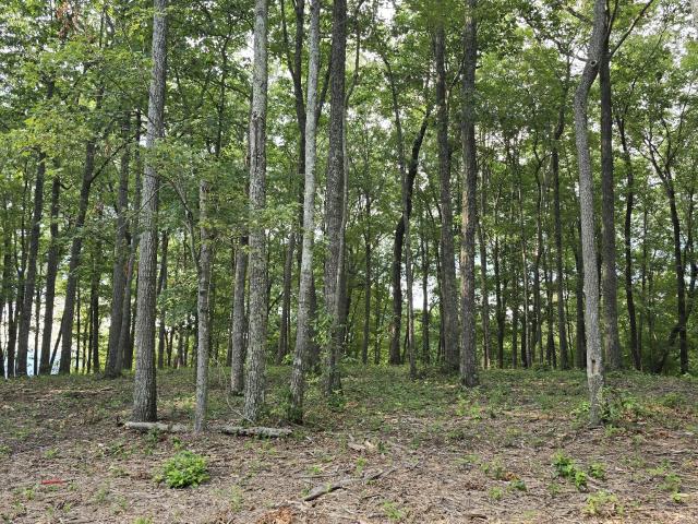 0 Bluff Pt