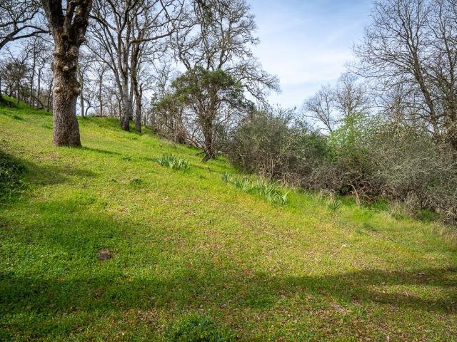 0 Boarman, Jackson, CA 95642 | MLS #226048