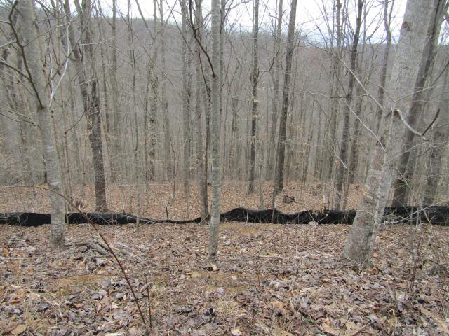 0 Bobcat Lane