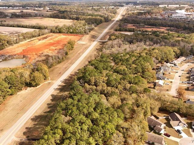 TBD Boll Weevil Circle W