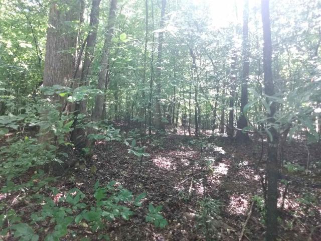 0 Bow Dr, Lavonia, GA 30553 | MLS #10349