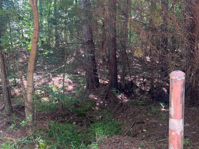 0 Boyd Ct, Upatoi, GA 31829 | MLS #221765 | Compass