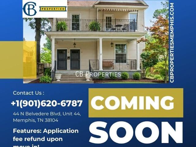 3 BR, 1 BA Apartment 44 N Belvedere Blvd, Memphis, TN 38104