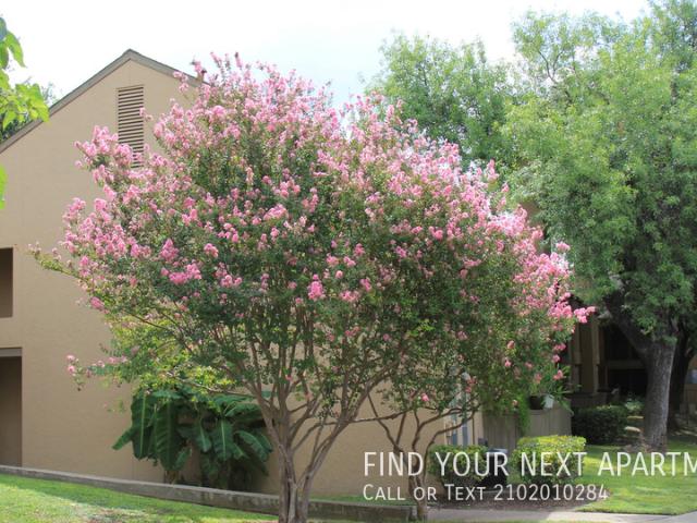 0 BR, 1 BA Apartment Hillcrest & Gentleman, Balcones Heights, TX 78201