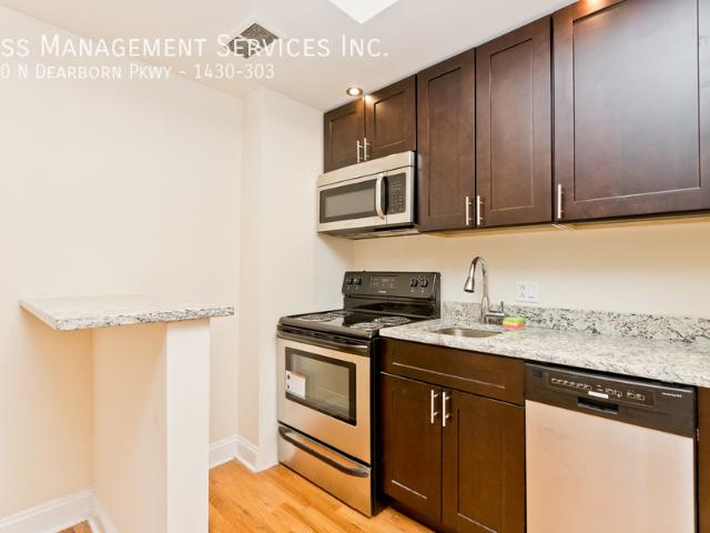 0 BR, 1 BA Apartment 1430 N Dearborn Pkwy, Chicago, IL 60610