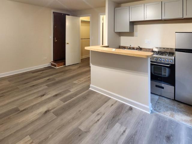 0 BR, 1 BA Apartment 1504 N Dearborn Pkwy, Chicago, IL 60610