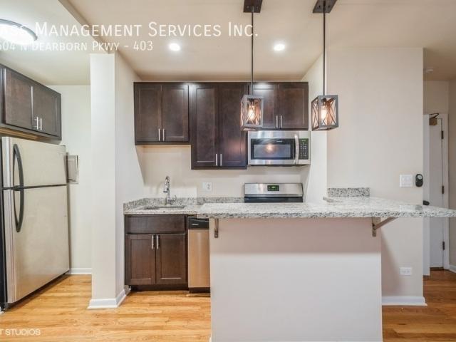 0 BR, 1 BA Apartment 1504 N Dearborn Pkwy, Chicago, IL 60610