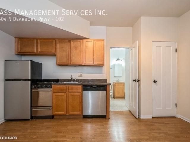0 BR, 1 BA Apartment 1504 N Dearborn Pkwy, Chicago, IL 60610