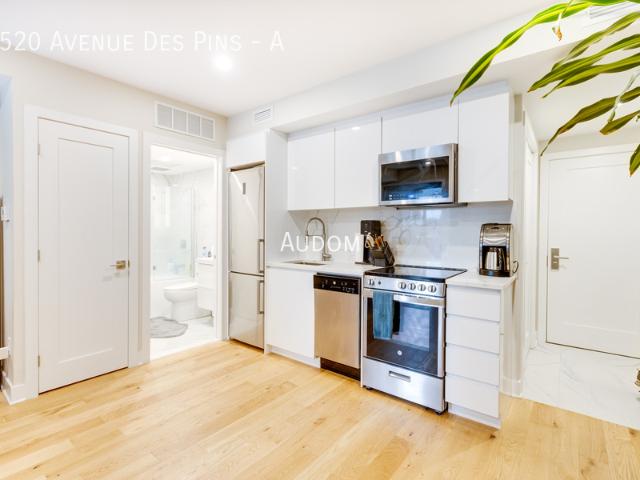 0 BR, 1 BA Apartment 1520 Avenue Des Pins, MontrÃ©al, QC H3G 1B4