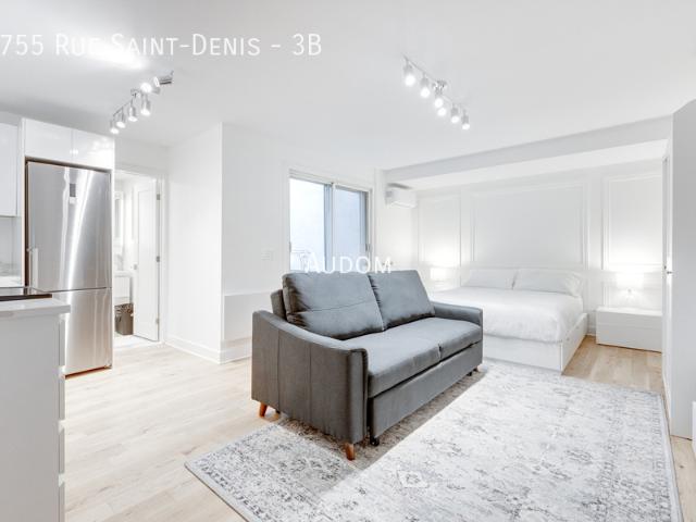 0 BR, 1 BA Apartment 1755 Rue Saint Denis, MontrÃ©al, QC H2X 3K4