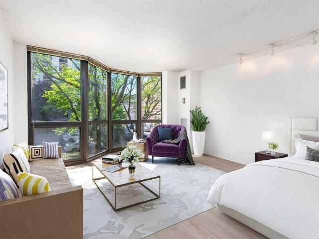 0 BR, 1 BA Apartment 1000 N Lasalle Blvd Unit 809, Chicago, IL 60610