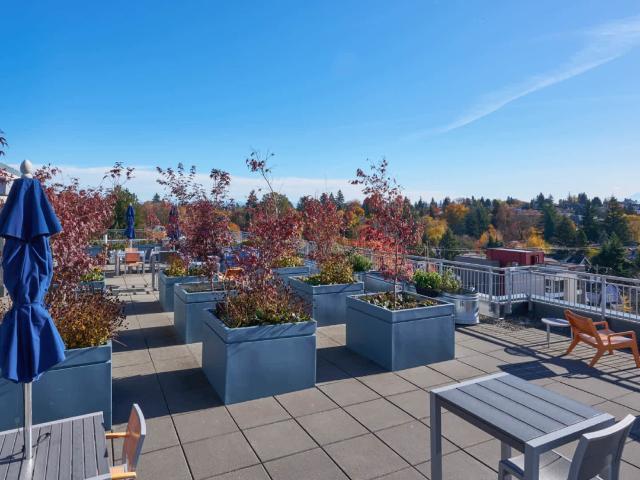 0 BR, 1 BA Apartment 1020 Northeast 63rd Street Unit 217, Seattle, WA 98115