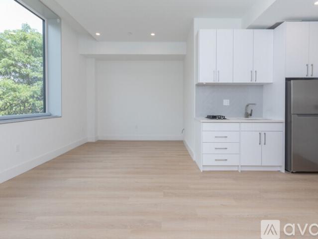 0 BR, 1 BA Apartment 1127 Harrison Street, Unit 209, Boston, MA 02118
